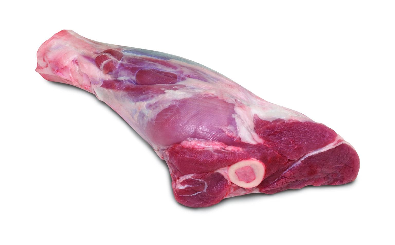 Lamb Cutting Diagram | PA Farm Link